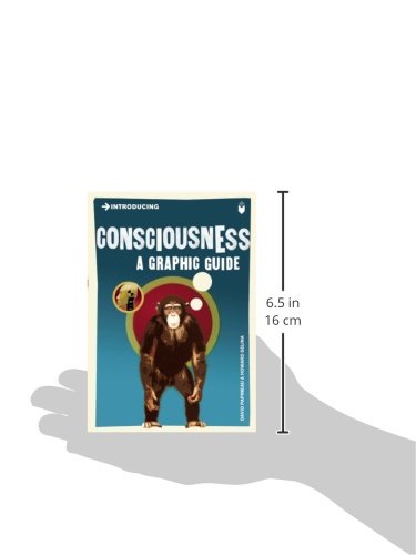 Introducing Consciousness: A Graphic Guide (Graphic Guides) - Want It All