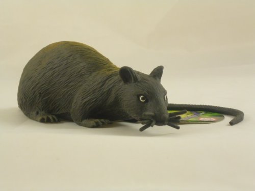 13cm Rubber Stretchy Rat With Long Tail - Halloween - Novelty Toys | eBay