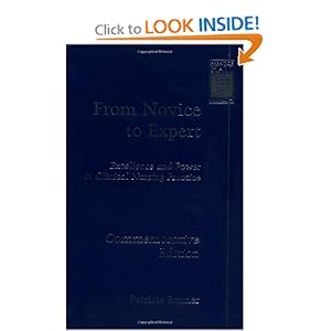 Benner From Novice To Expert Pdf 5