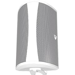 Definitive Technology AW 6500 Outdoor Speaker | Outlet Electronics