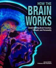How the Brain Works - Import It All