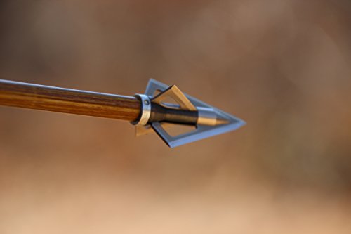 Wasp sharpshooter - workingdop