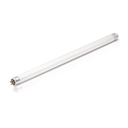 (6 Pack) F8T5/CW - T5 Fluorescent 4100K Cool White - 12” Linear - 8 ...