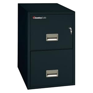 Amazon.com : Sentry Safe 2-Drawer Fireproof Key Lock Letter File Safe ...