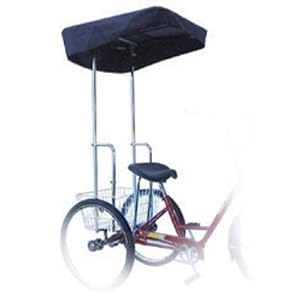 Amazon.com : Trike Canopy : Tricycle Adult : Sports & Outdoors