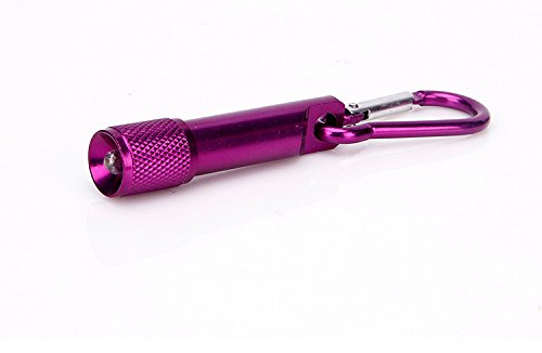 5pcs/Lot Mini Colorful Columbia LED Flashlight Torch Light Carabiner ...