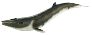 Wild Animals - Finback Whale Figure - 8'': Amazon.co.uk: Toys & Games