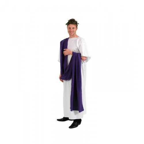 Opiniones de Adult Roman Toga Emperor Augustus Fancy Dress Costume ...