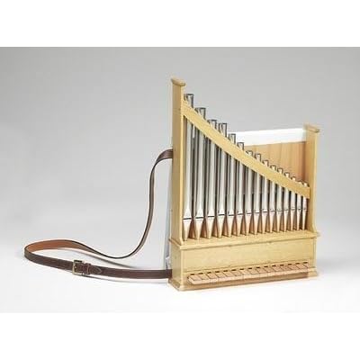 Amazon.com : EMS 1ft Portative Organ Kit, BUILD YOUR OWN! : Everything Else