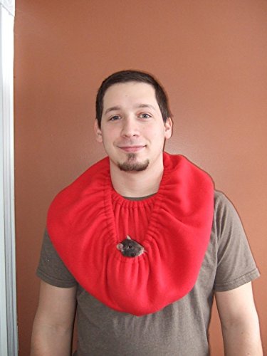 Just got these two boys two days ago. This is Hershey and Angus. Was ...