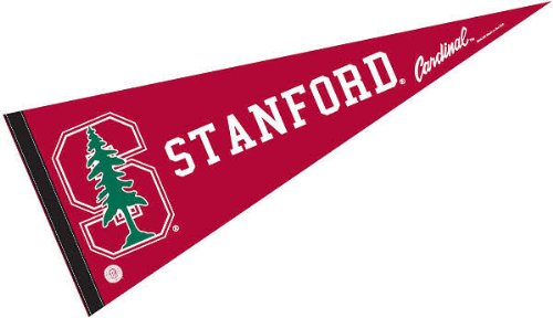 Stanford D School Logo