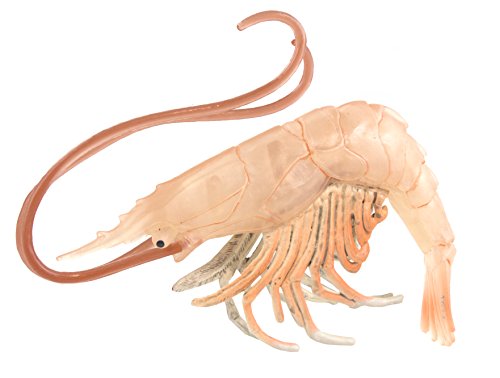 Top 5 Best shrimp toy for sale 2016 | BOOMSbeat