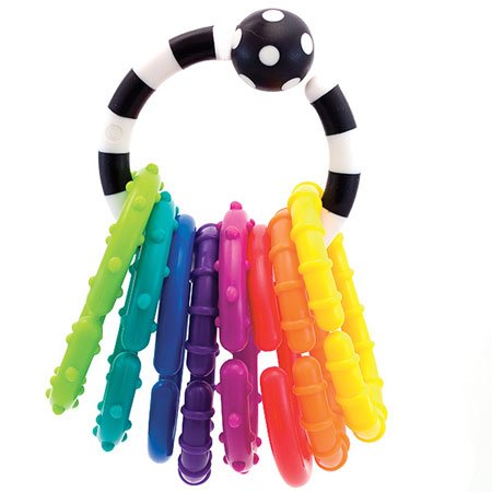 Sassy Ring O’ Links Rattle Developmental Toy | Overview