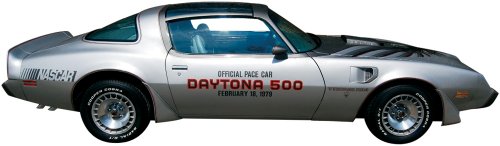 1979 Trans Am "10TH Anniversary" Decal & Stripe Kit - Bumper Stickers ...