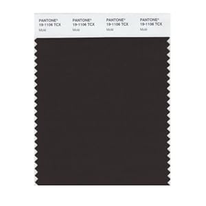 Pantone Smart Swatch 19-1106 Mole