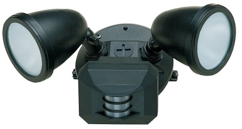 Buy Cheap Access Lighting 20310-BL/FST Ariel 2-Light Wet Location ...