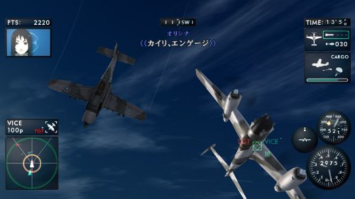 Wii Games: Wii Flight Simulators and Accessories — Wii Accessories