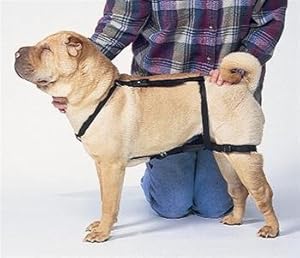 Amazon.com : Classic Products No Jump Harness : Pet Harnesses : Pet ...