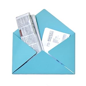 Wall-mount steel Envelope Holder organiser for documents & post - mint ...