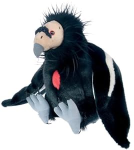 Amazon.com: Plush California Condor Cuddlekin 12": Toys & Games