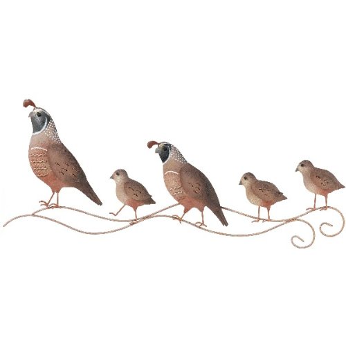 Clipart of quail