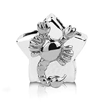 Scorpio Pandora Charms | Charms and Beads