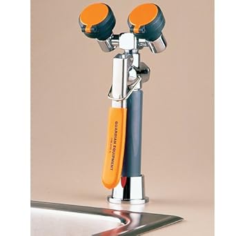 Guardian G5022 Metal Emergency Eye Wash/Drench Hose Unit, Deck Mounted ...