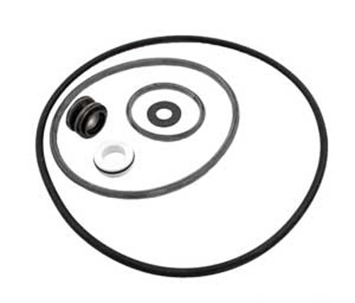 Onlinepoolshop.com : Pentair PP4000 Seal Gasket Replacement Kit Sta ...