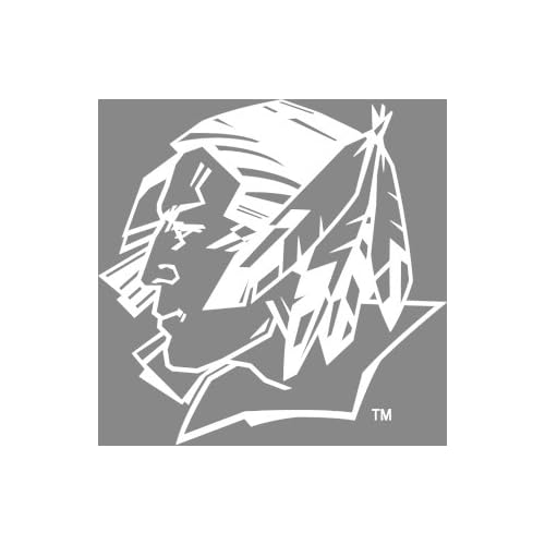 Amazon.com - Fighting Sioux Logo 14 x 14 inch White Vinyl Decal ...