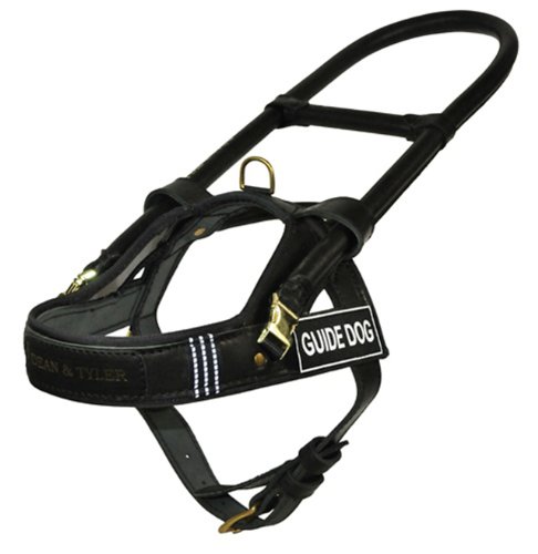 #Dean & Tyler Leather Guide Dog Harness, Medium, Black | Pet Supplies