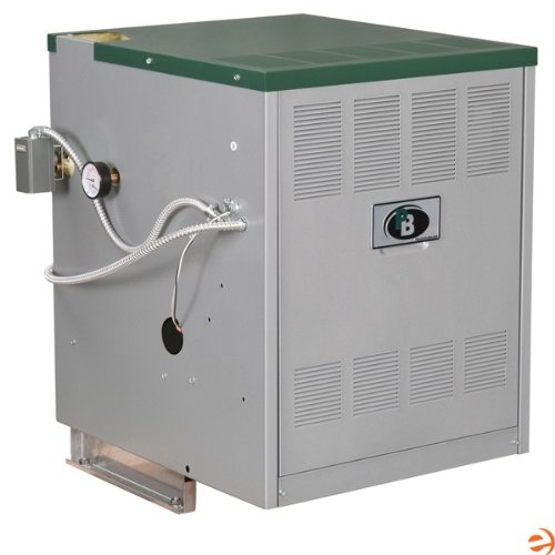DE-04 Gas Fired Hot water Boiler Electronic Ignition Taco 007 Pum ...