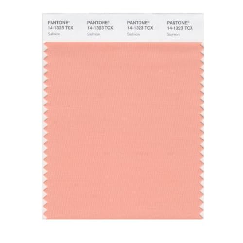 Salmon Color Swatch