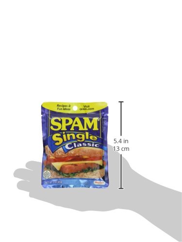 SPAM Single Classic, 2.5-Ounce Pouches (Pack of 24) Food, Beverages ...