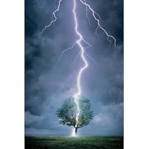 Amazon.com: (24x36) Lightning Bolt (Lightning Striking Tree) Art Poster ...