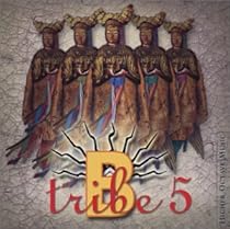 B-Tribe 5 | dahnzonrrae6's Blog