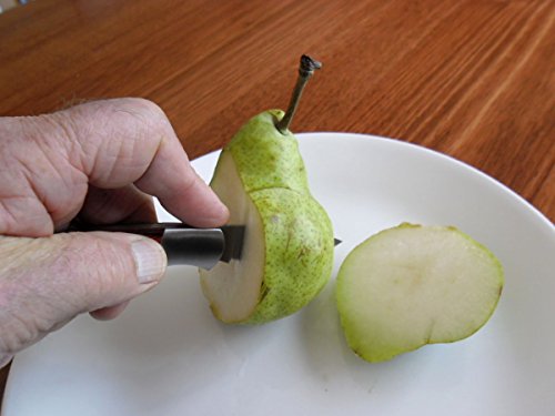 Valtev Small Pocket Knife, Polished Wood Inlay Handle, Quality ...