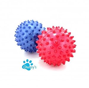 Pet Supplies : Rubber Spike Balls Dog Toy, Set of 2 Pet Balls, 3.5 Inch ...