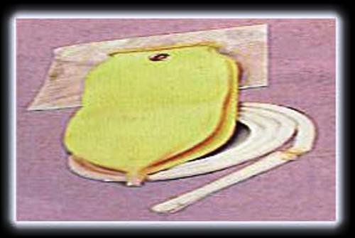 Amazon.com: Feminine Folding Douche Syringe, Travel and Home use ...