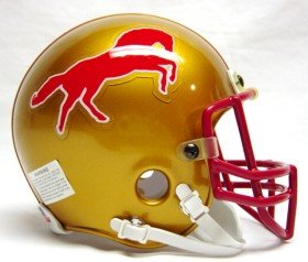Amazon.com : Birmingham Stallions USFL Mini Helmet : Sports Related ...