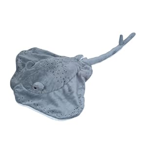 Amazon.com: 13" Southern Stingray Plush Stuffed Animal Toy: Toys & Games