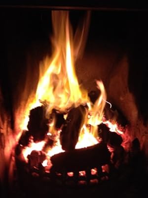 Buy Fire Peat Burning Heat Turf 15kg Smokeless Natural Fuel For Fire ...