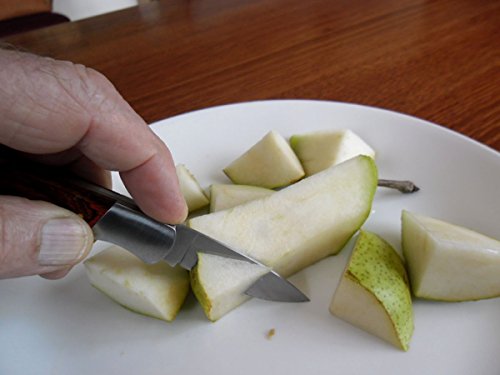 Valtev Small Pocket Knife, Polished Wood Inlay Handle, Quality ...