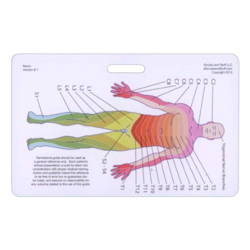 Neuro Dermatome Diagram Horizontal Badge ID Card Nepal | Ubuy
