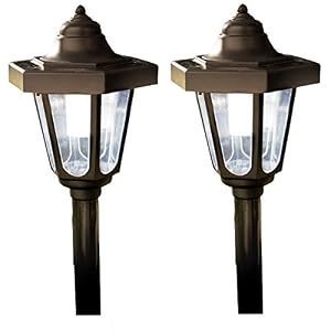 Solar Coach Lights Garden