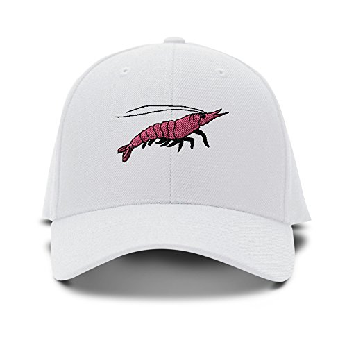 Top 5 Best shrimp hat for sale 2016 | BOOMSbeat