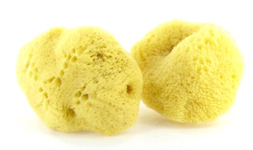 Premium Sea Pearls Sea Sponge for Prolapse – Natural, Body-Friendly ...