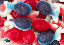 Amazon.com : Jelly Filled Gummi Gummy Whales Candy 1 Pound Bag ...