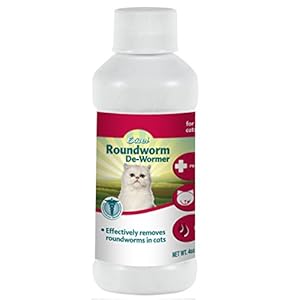 Amazon.com : Excel Roundworm Liquid Cat De-Wormer, 4-Ounce : Pet ...