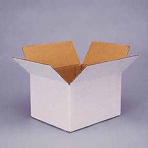 Amazon.com : White RSC Boxes - 25ea - White and Kraft RSC Carton 12" X ...