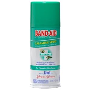 Amazon.com: ANTI ITCH CALAMINE SPRAY BANDAID BRAND 4 OZ CAN: Health ...